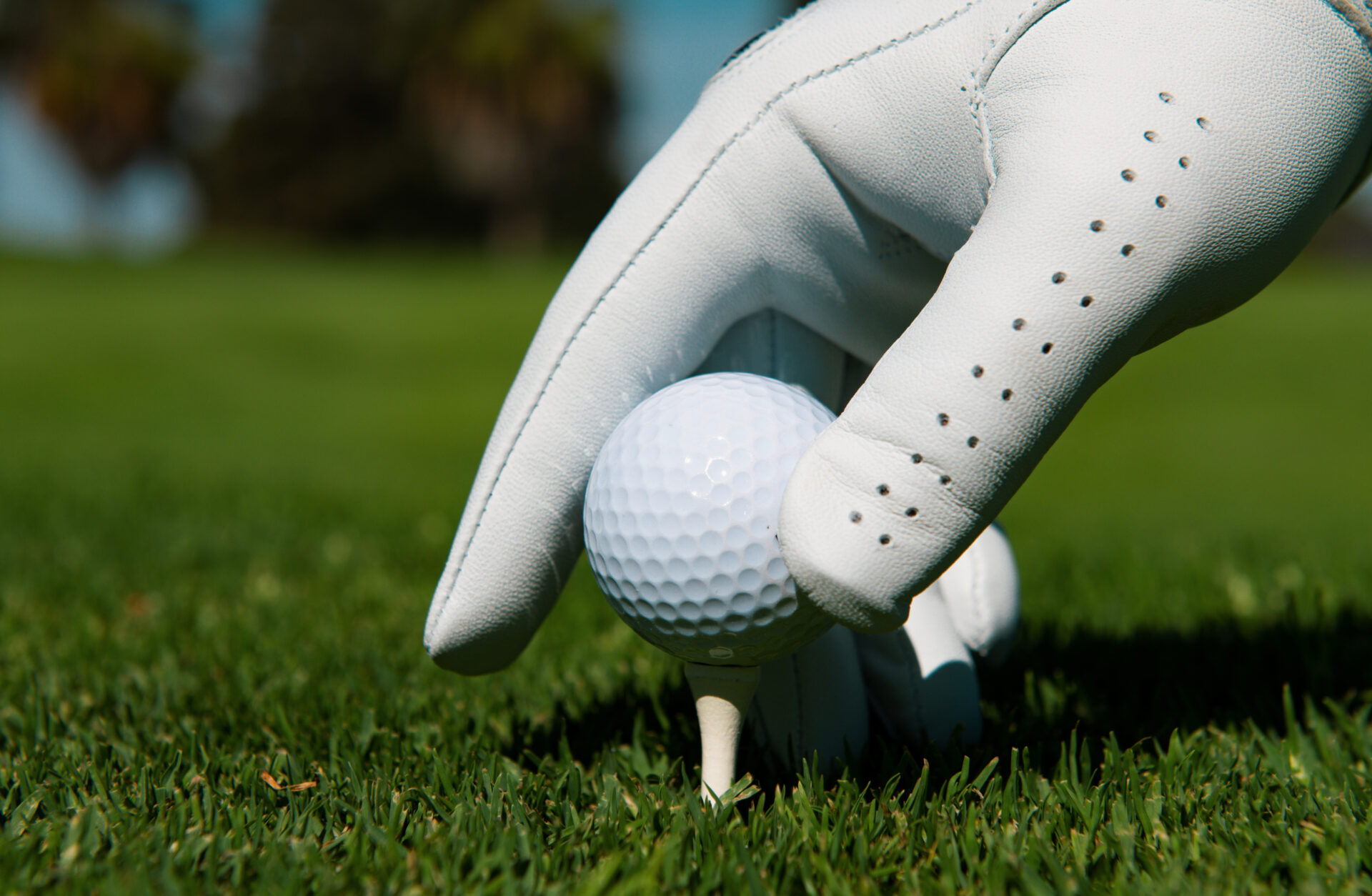 Why Tiger Woods Underwent Fusion Surgery - Minimally Invasive ...