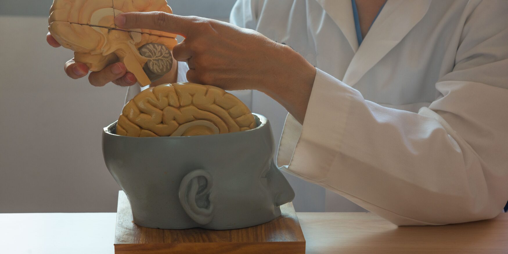 Finding the Right Neurosurgeon in Plano TX: Your Guide to Brain and ...